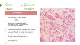 Introduction To Antibiotics Nursing Phar | PPT