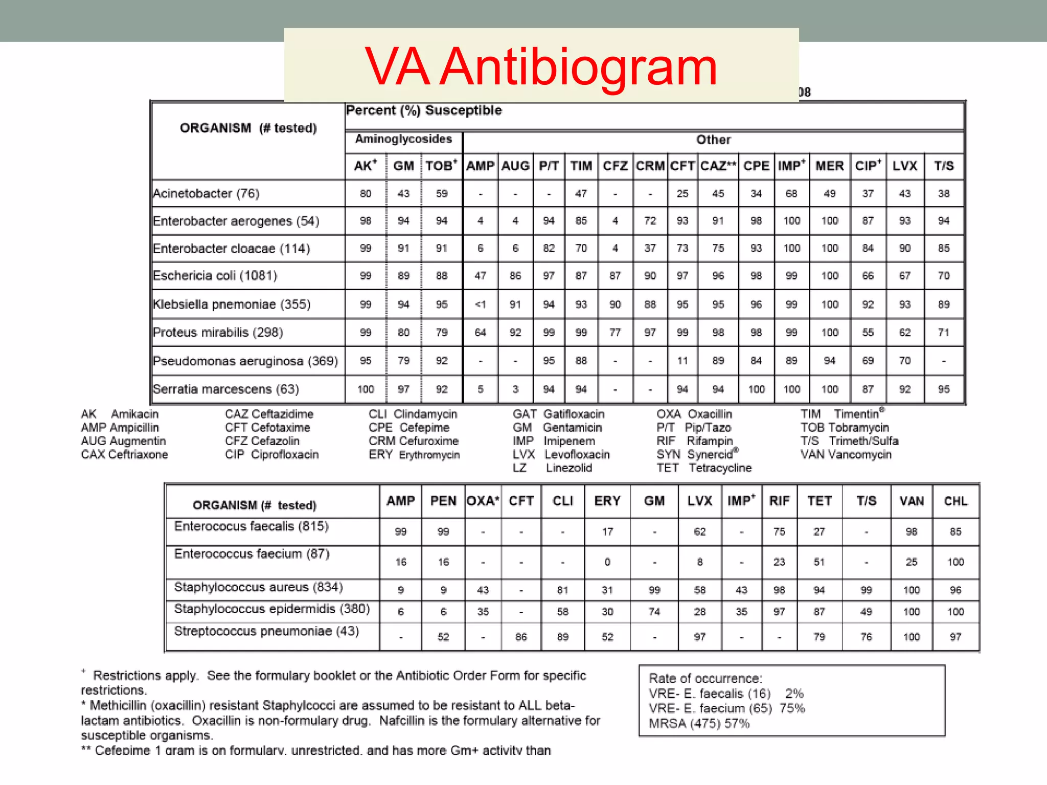 Introduction to antibiotics // basic principles | PPTX