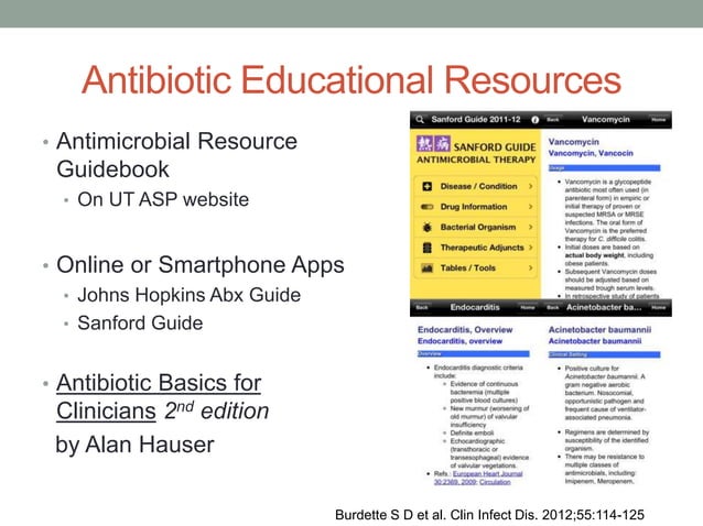 Introduction to antibiotics // basic principles | PPTX