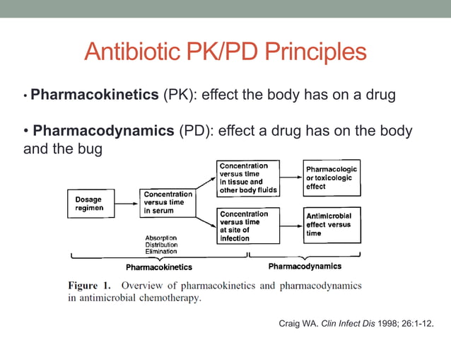Introduction to antibiotics // basic principles | PPTX