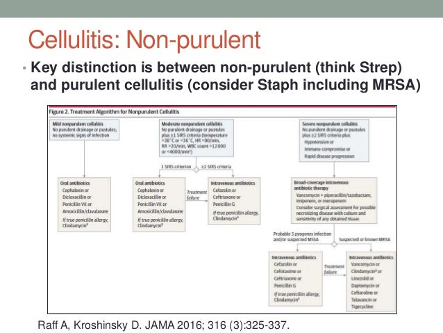 Intro to antibiotics ii clinical pearls 72816