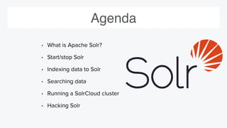 Intro to Apache Solr | PDF