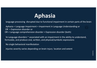 Intro to Aphasia study notes20240916lc.pdf