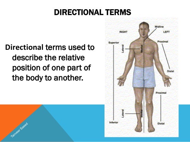 Intro to a p ts 2013 stds