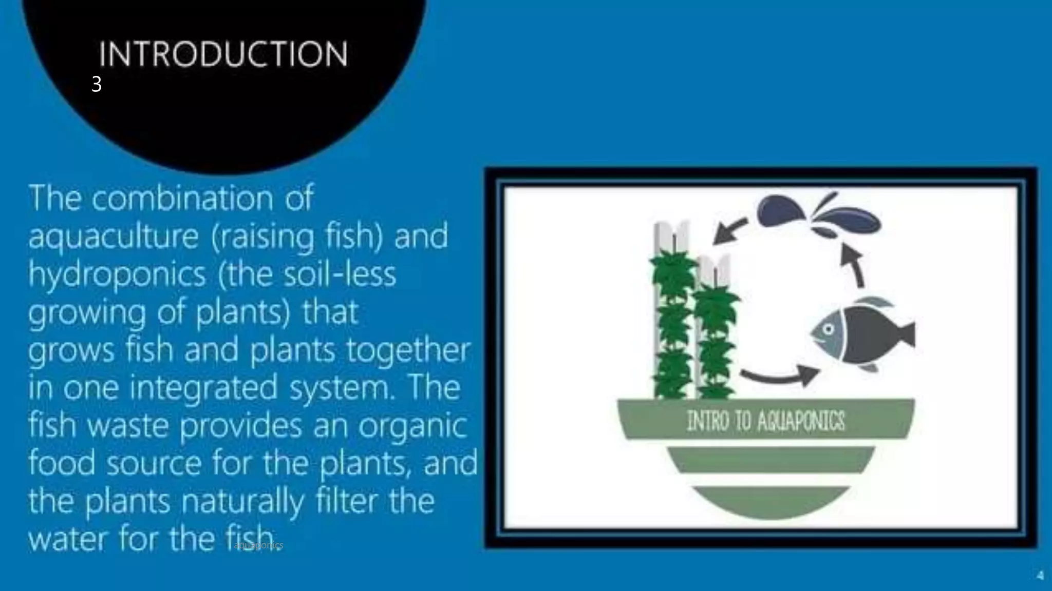 Intro to aquaponics .pptx