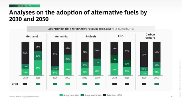 Intro to BCG's Carbon Emissions Benchmark_vF.pdf