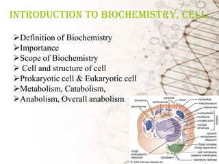Introduction to Biochemistry and Clinical Pathology | PDF