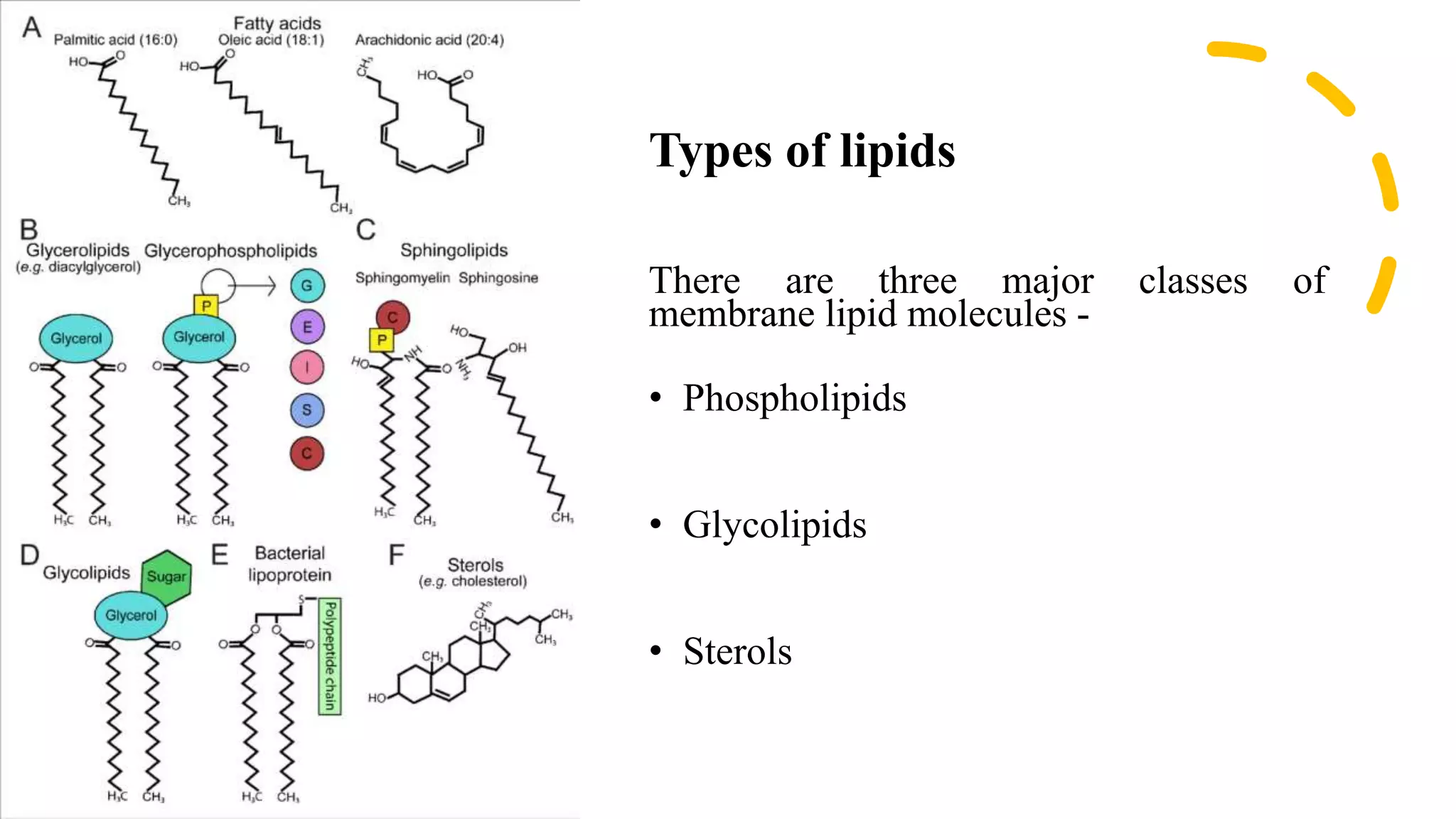 Intro to Biochem Class1.pptx