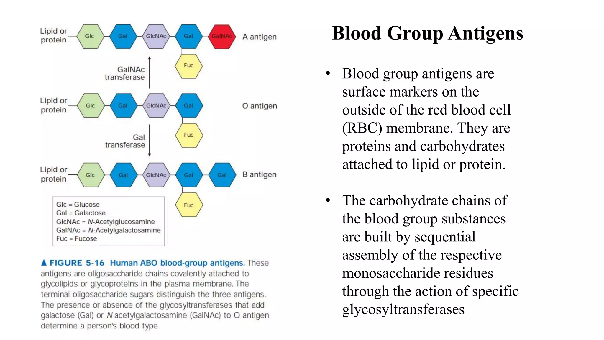Intro to Biochem Class1.pptx