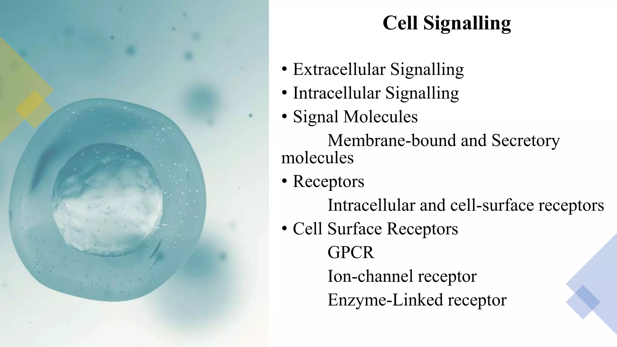 Intro to Biochem Class1.pptx