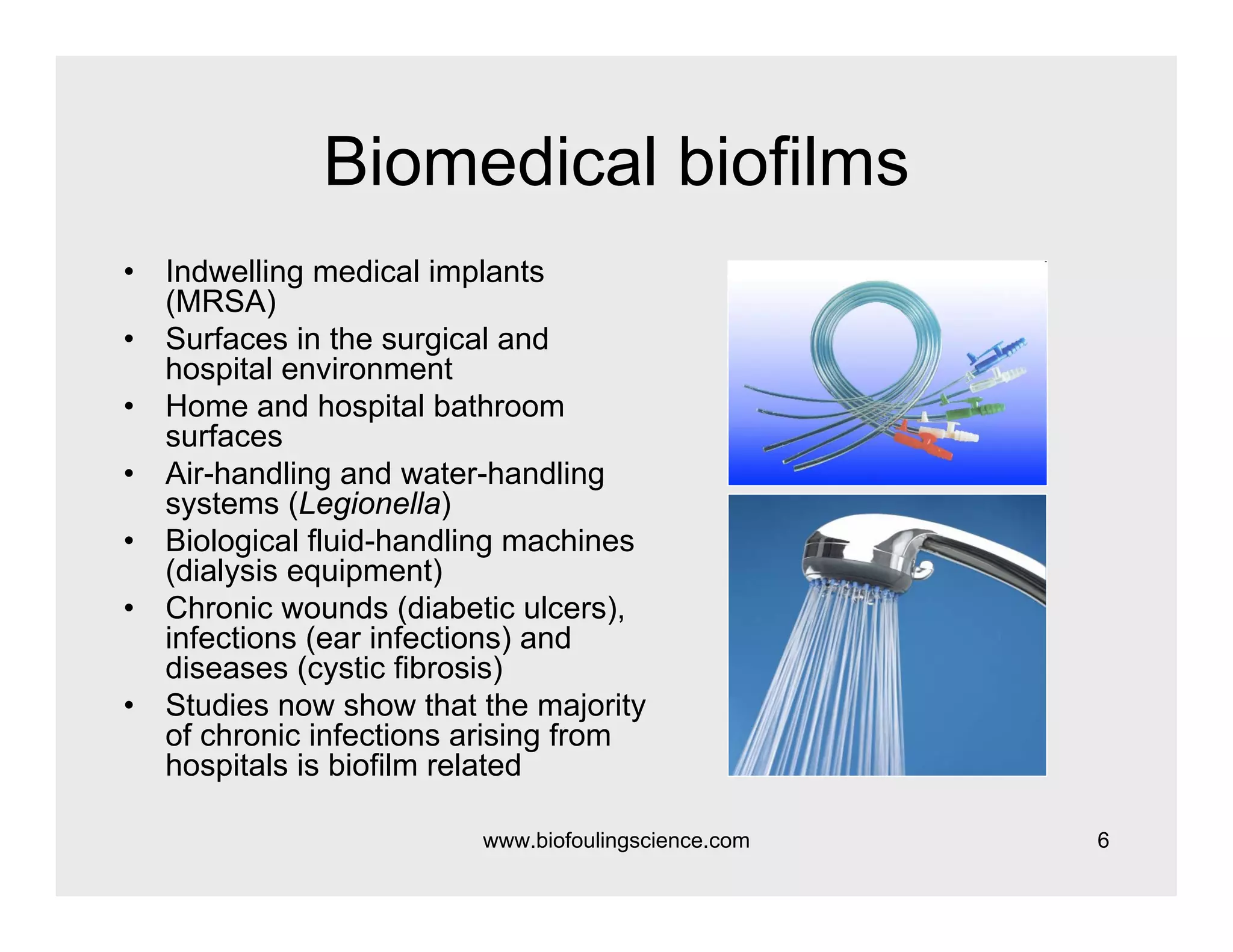 Intro To Biofilms | PDF