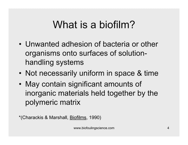 Intro To Biofilms | PDF | Chemistry | Science