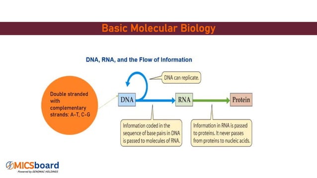 Intro to Bioinformatics for beginers student | PPT