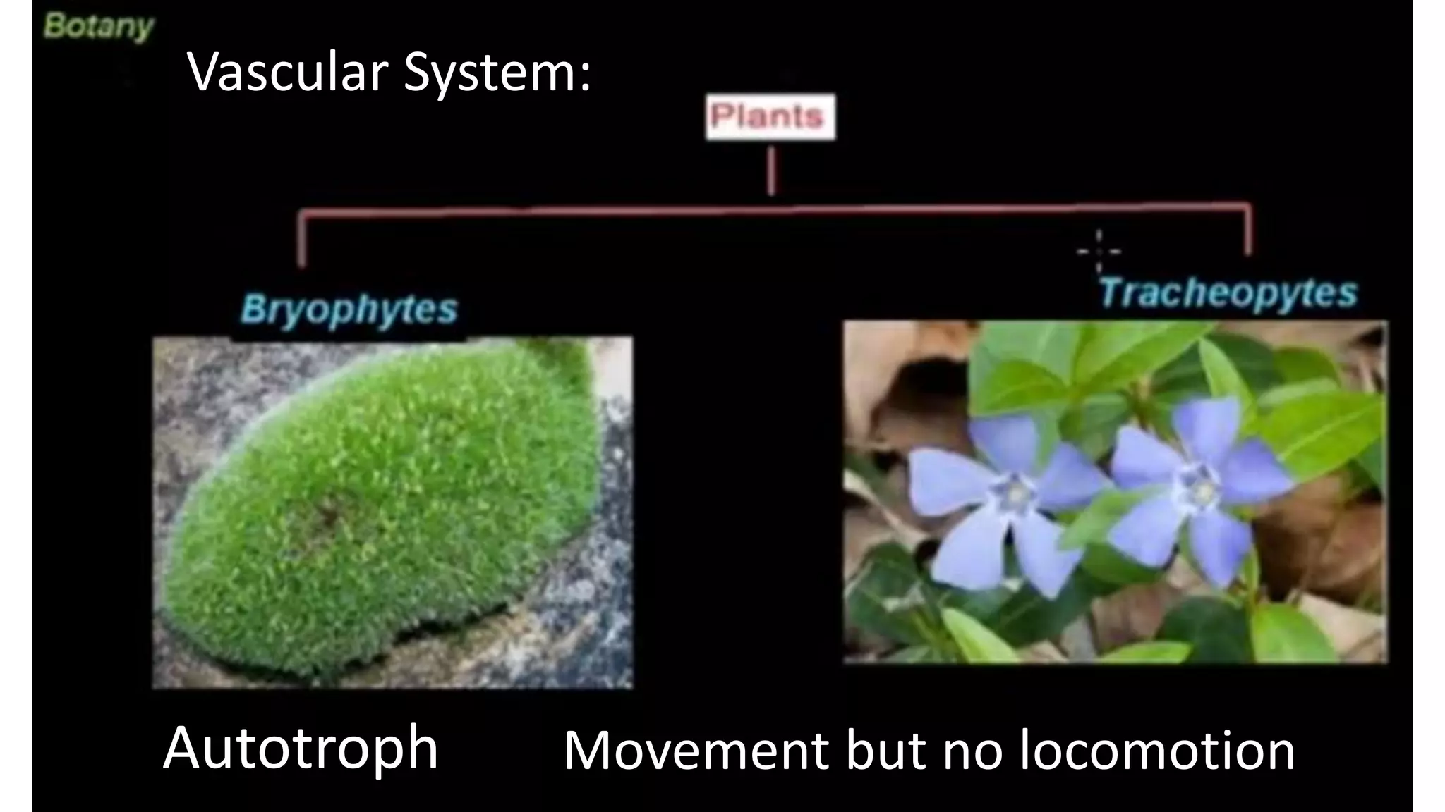 Intro to Biology.pptx