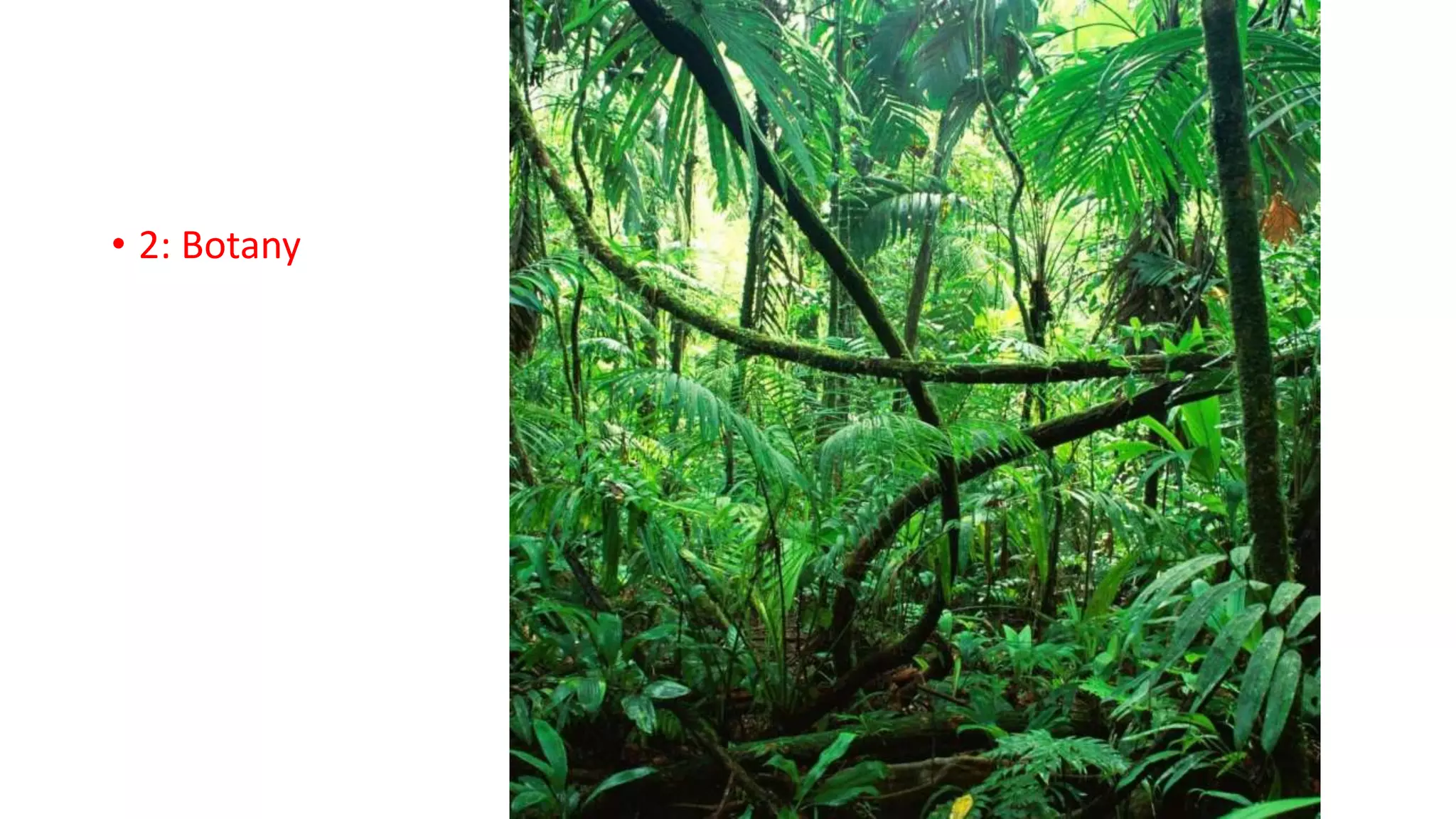 Intro to Biology.pptx