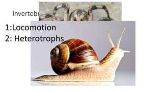 Intro to Biology.pptx