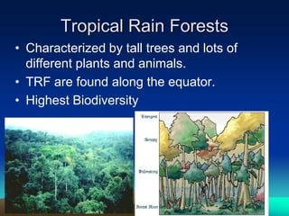 Intro to biomes | PPT