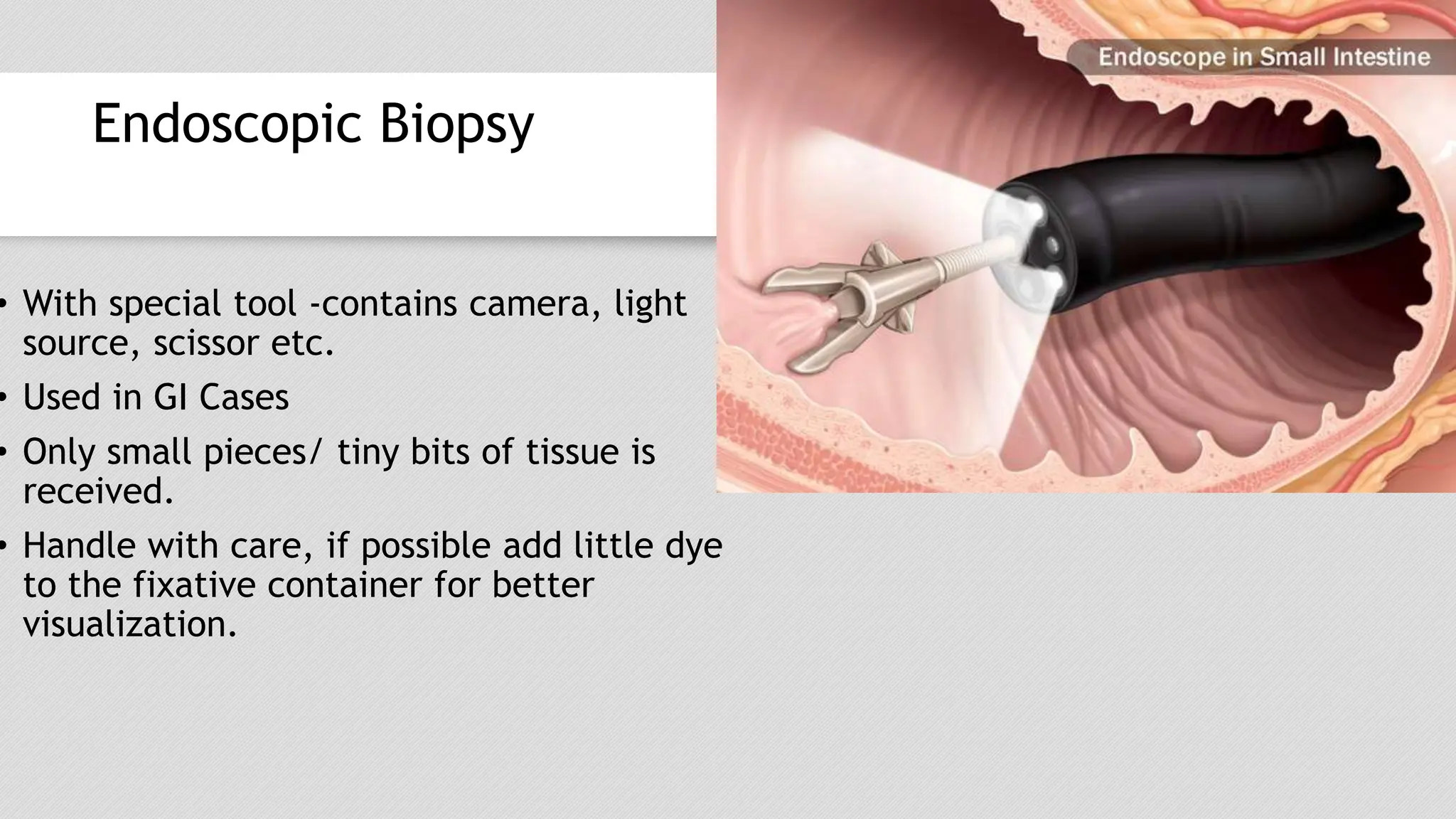 Intro to Biopsy Techniques WK 2 TH.pptx