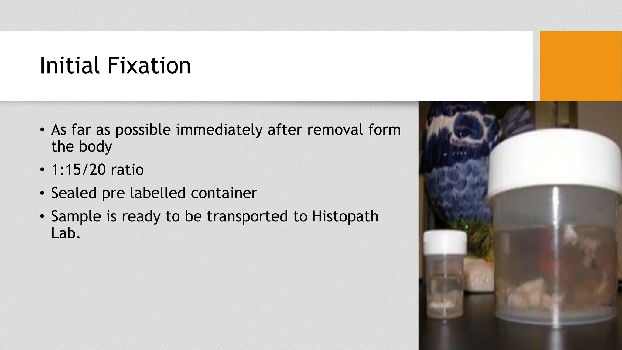 Intro to Biopsy Techniques WK 2 TH.pptx