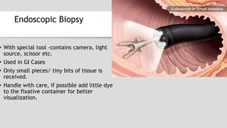 Intro to Biopsy Techniques WK 2 TH.pptx