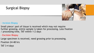 Intro to Biopsy Techniques WK 2 TH.pptx
