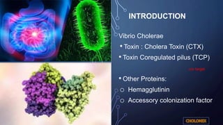 Intro to biotech final presentation | PPTX