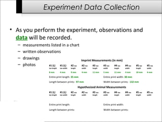 Intro to Life Science & Biology | PPT