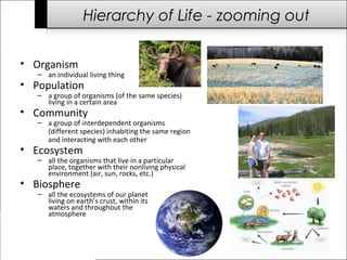 Intro to Life Science & Biology | PPT