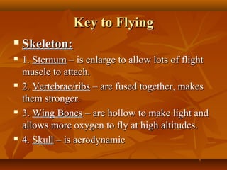 Intro to birds | PPT