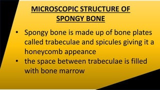 Introduction to Orthopedics | PPTX