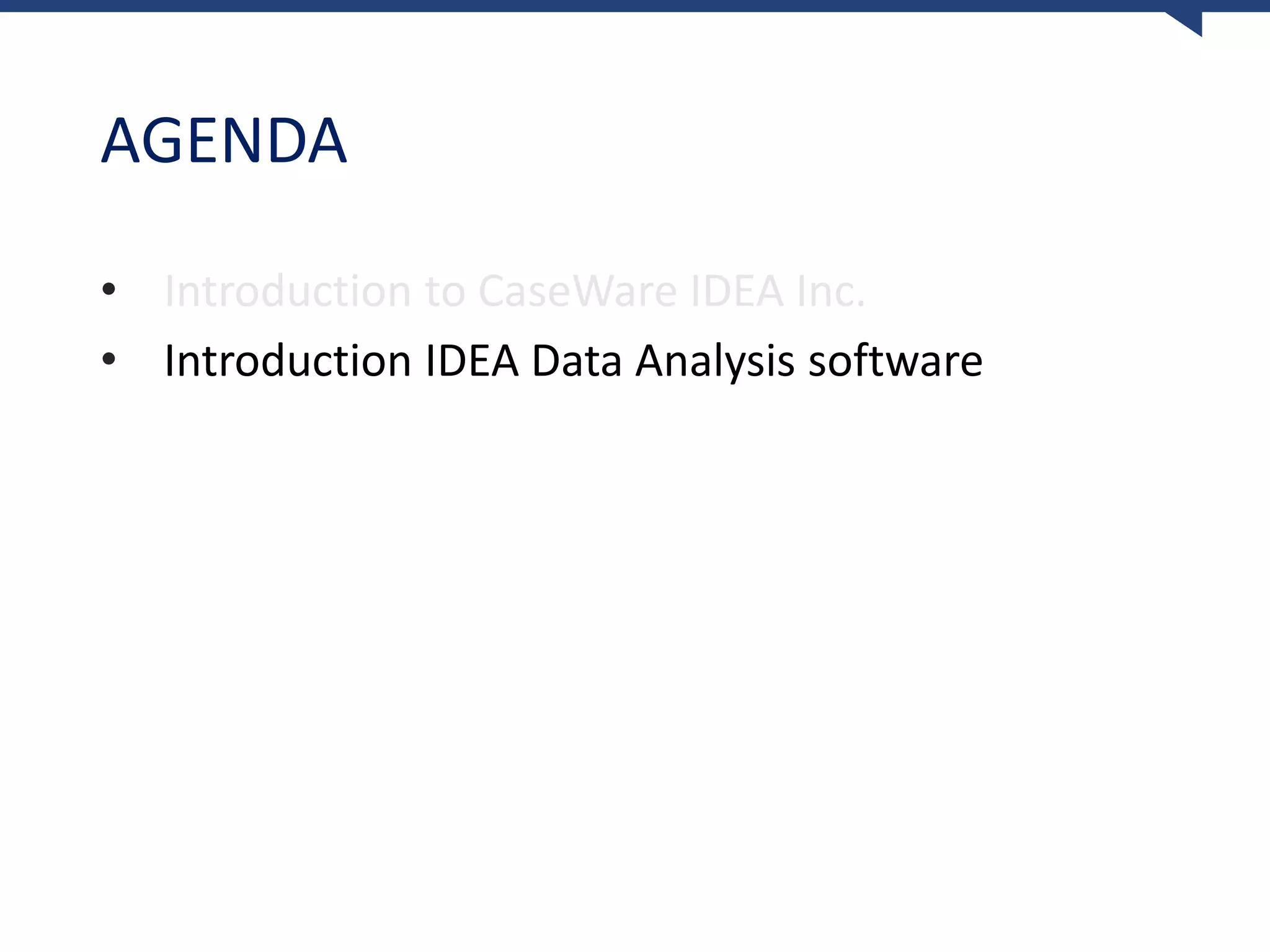 Introduction to CaseWare IDEA - Designed by Auditors for Auditors | PDF