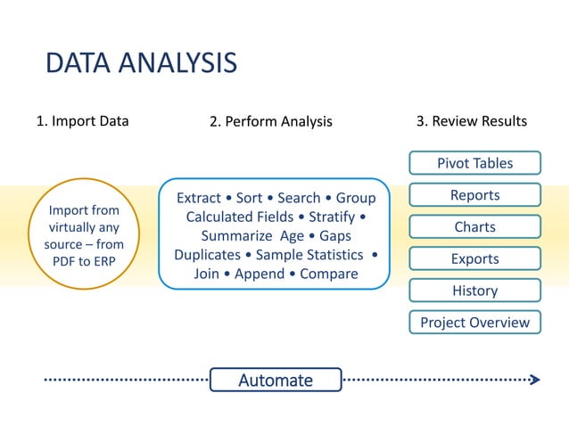 Introduction to CaseWare IDEA - Designed by Auditors for Auditors | PDF