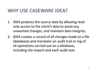 Introduction to CaseWare IDEA - Designed by Auditors for Auditors | PDF