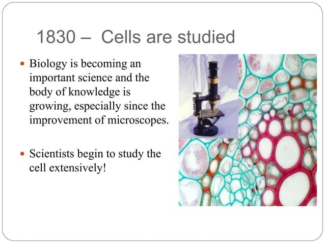 introduction to cell biology.pptx by AsmatAli | PPT