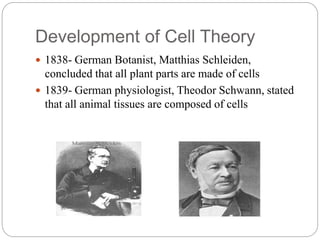 introduction to cell biology.pptx by AsmatAli | PPT