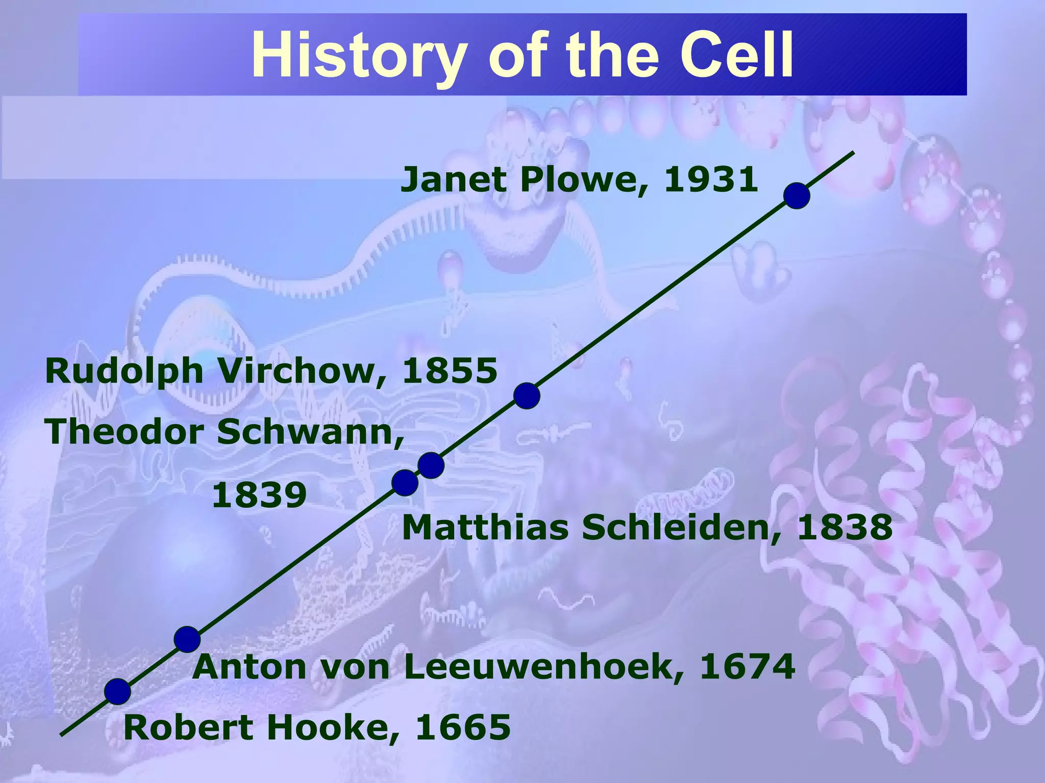 Intro to cells | PPT