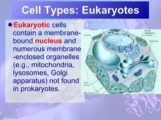 Intro to cells | PPT
