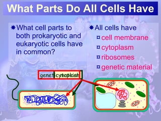 Intro to cells | PPT