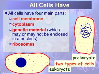 Intro to cells | PPT