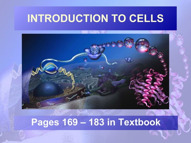 Intro to cells | PPT