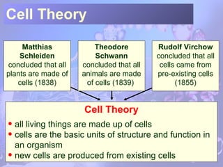 Intro to cells | PPT
