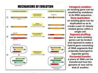 Intro to cells | PPTX | Biological Sciences | Science