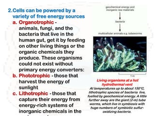 Intro to cells | PPTX | Biological Sciences | Science