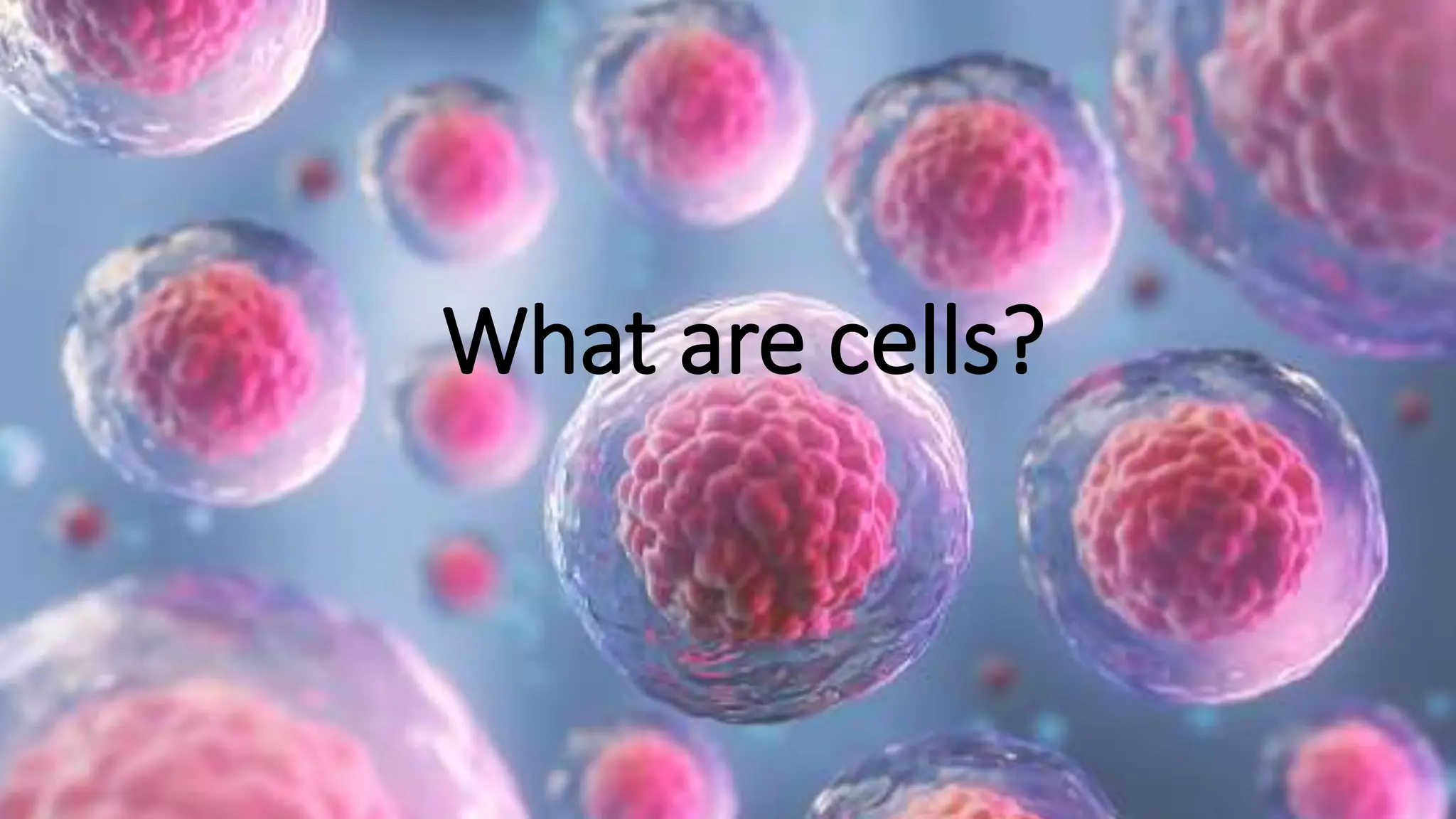 Cells and organelles step by step, drawing | PPT