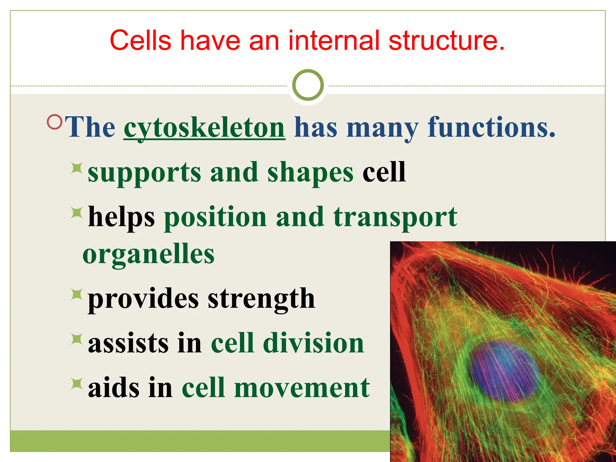 Introduction to cells and cell theory .ppt