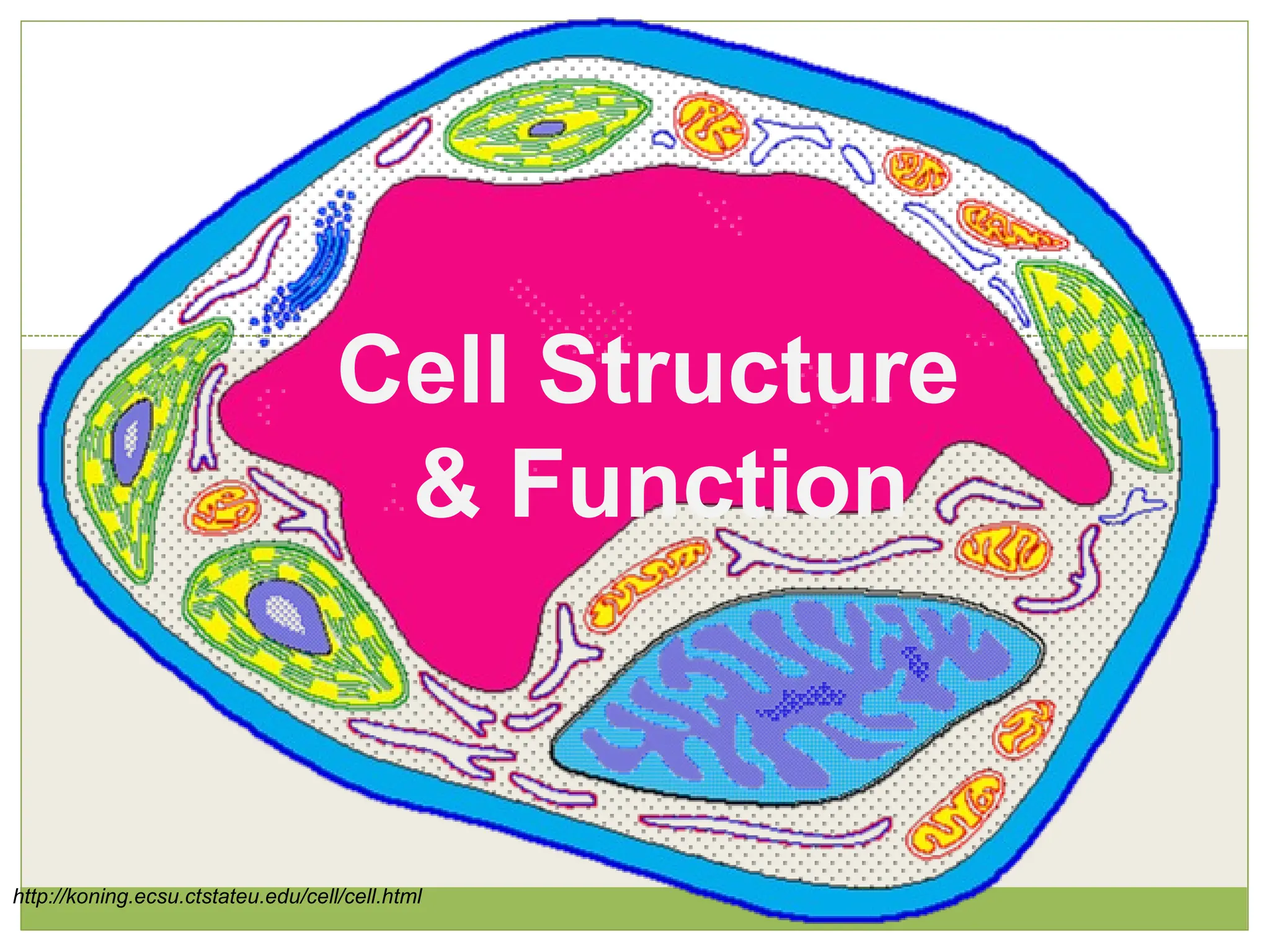 Introduction to cells and cell theory .ppt