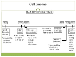 Introduction to cells and cell theory .ppt
