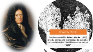 Introduction to cellular processes and structures | PPTX