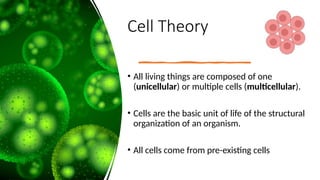 Introduction to cellular processes and structures | PPTX