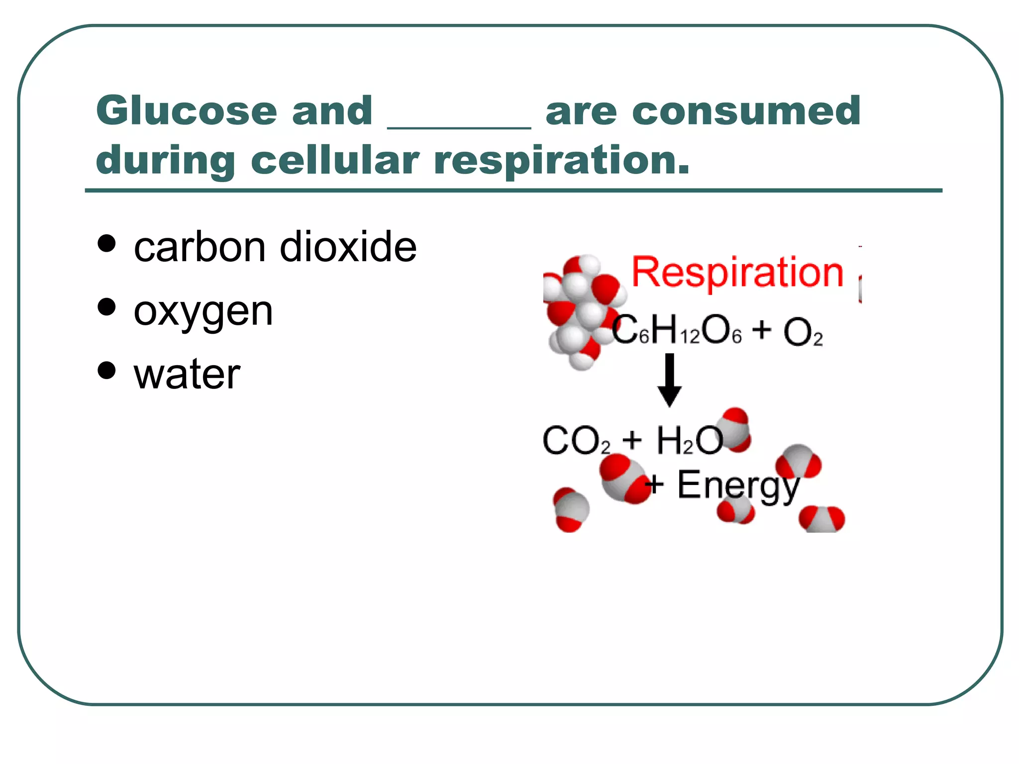Intro to cellular respiration | PPT